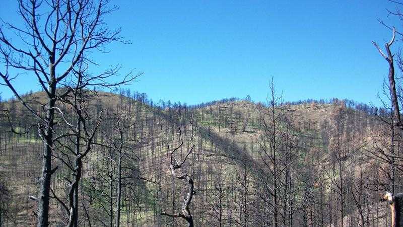 How a 40K acre burn scar could help contain the Three Rivers Fire