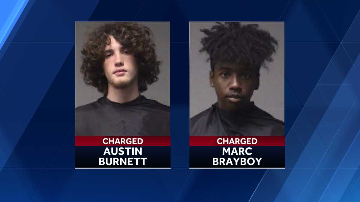 Three teens charged in connection with Doodle Trail damages