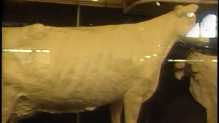 Iowa State Fair 1991 features soap opera star, famous butter cow