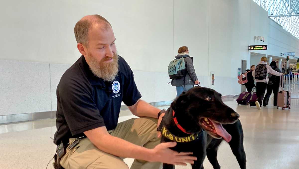 2025 TSA calendar features canine at BWI-Marshall