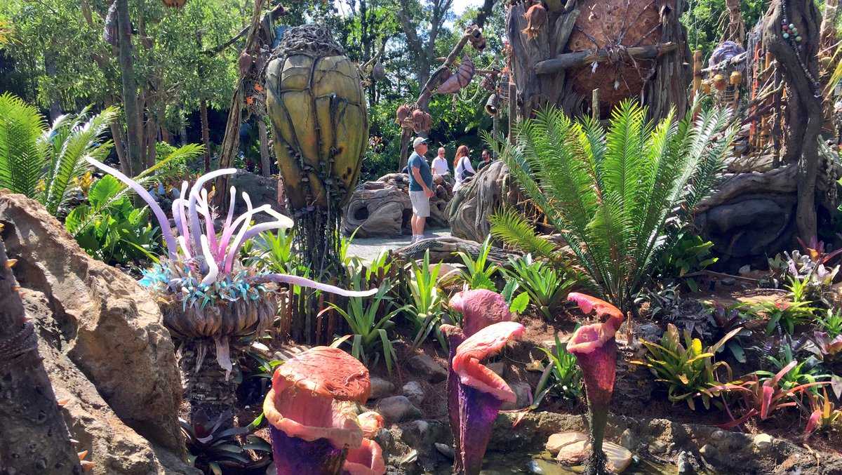 Disney’s Avatar, Universal’s Volcano Bay to open this week