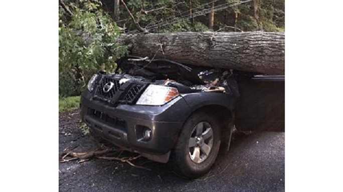 Frightening Images: Tree falls onto cars in Franklin County