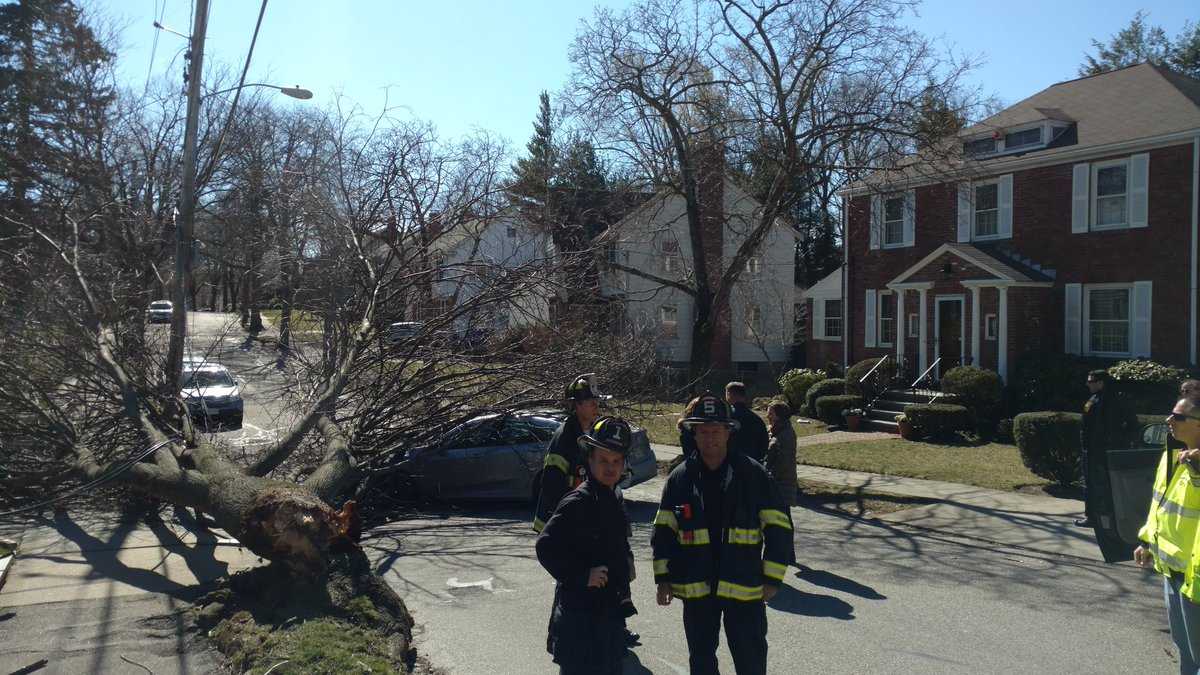 Strong winds topple trees, bring down wires