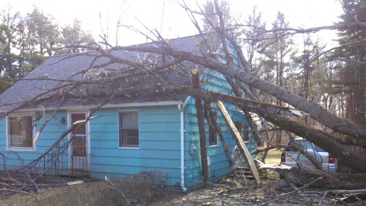 Strong winds topple trees, bring down wires