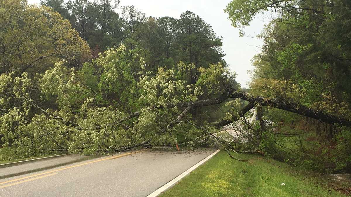 PHOTOS: Storm damage, hailstorms across central Alabama