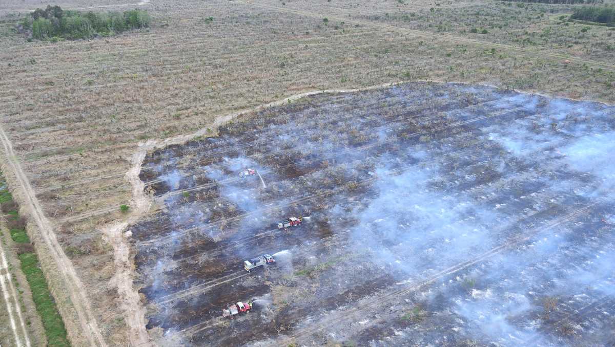 Brush fire ignites 16-plus acres near State Road 82 and Wildcat Drive ...
