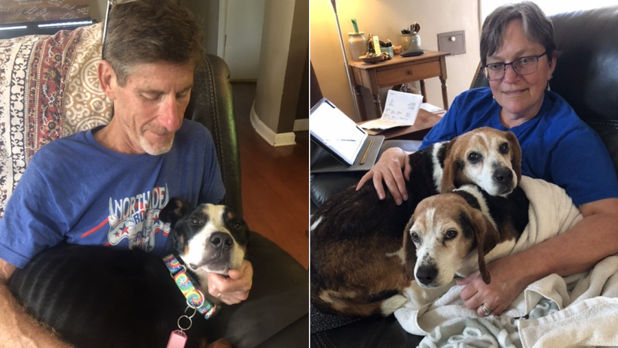 Cincinnati Animal CARE commemorates local family's 150th foster pet ...