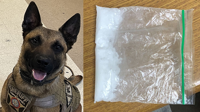 K-9 Simba helps Caddo County deputies make meth bust, arrest amid operation