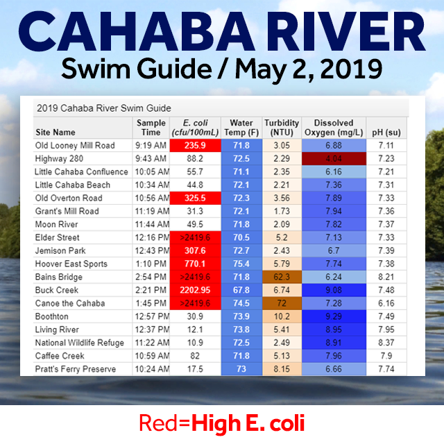 Cahaba River swim guide for May 2, 2019