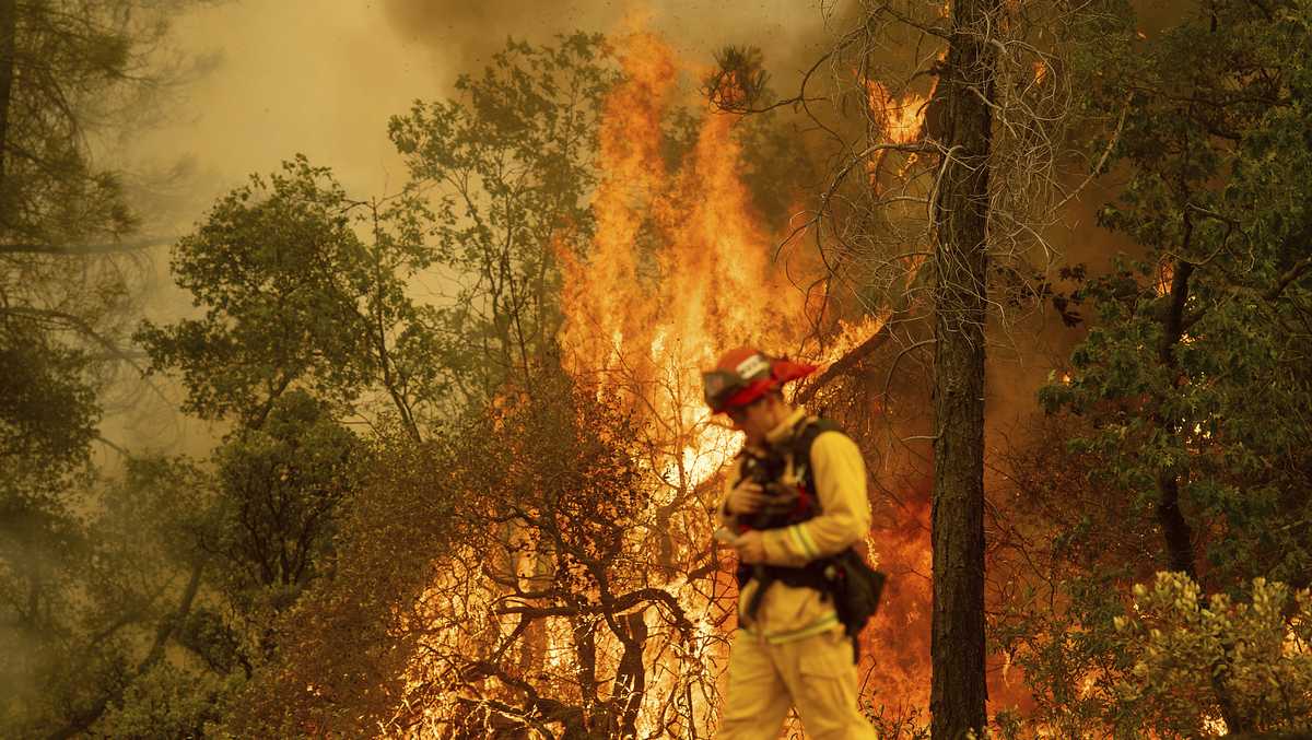 Trump threatens to order 'FEMA to send no more money' to California ...