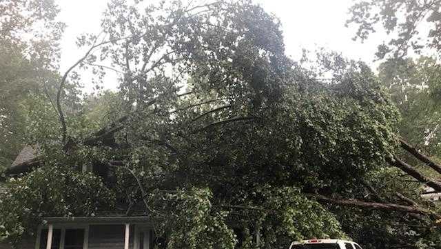 PHOTOS: Tropical Storm Isaias causes damage across Maryland