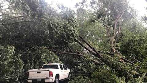 PHOTOS: Tropical Storm Isaias causes damage across Maryland