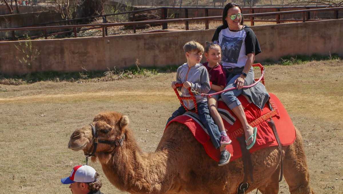 NEW RECORD: More than 93,000 people visited the OKC Zoo during spring break