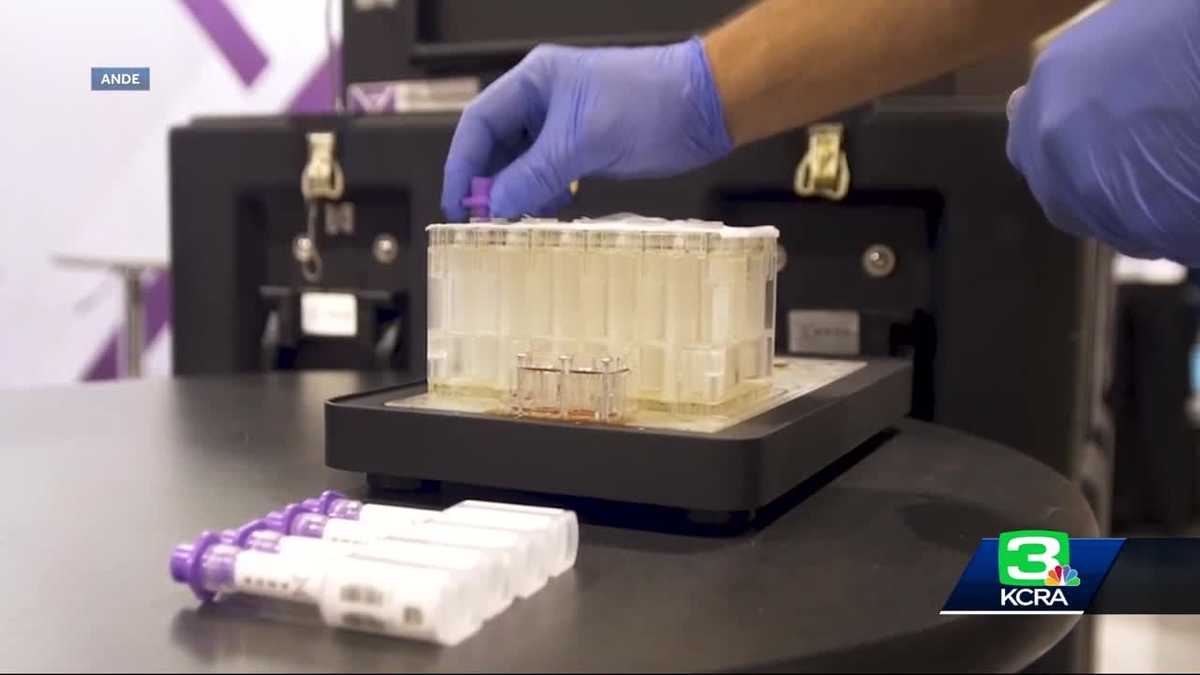 DNA testing company works to ID Camp Fire victims