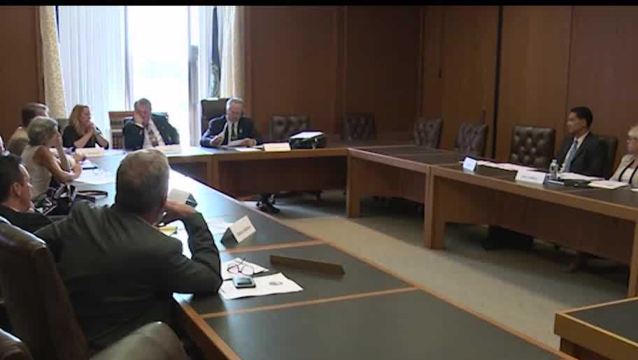 Cancer cluster commission discusses use of term 'cluster'