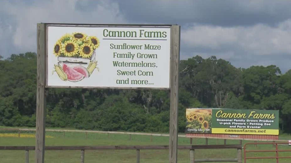 Cannon Farms reopens for first time since deadly Florida bus crash