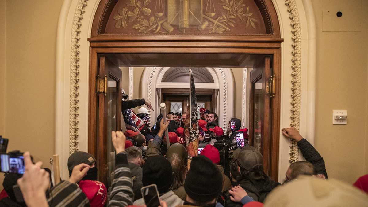 Internal probe clears officer of wrongdoing in Capitol riot shooting of ...