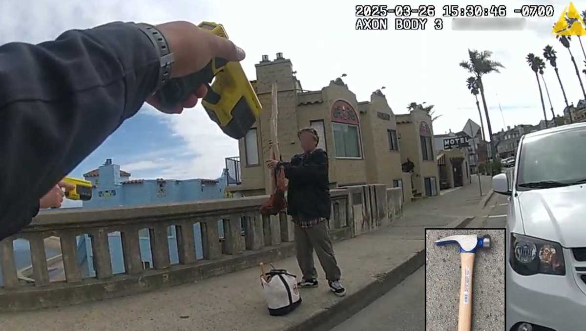 Attempted dognapper arrested after threatening family with hammer ...