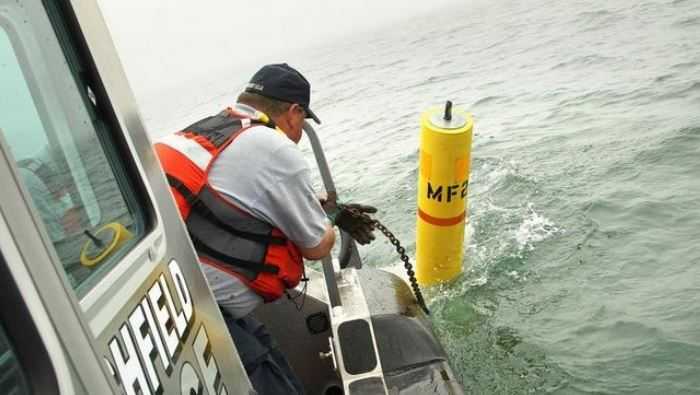 Marshfield harbormaster expects more shark sightings this year