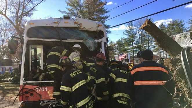 City bus careens off road, striking fire hydrant, tree