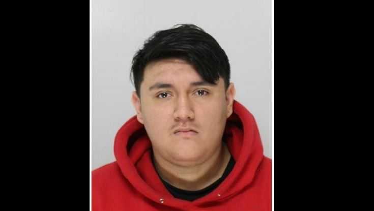 Driver took hit off bong before crashing head-on into van, police say