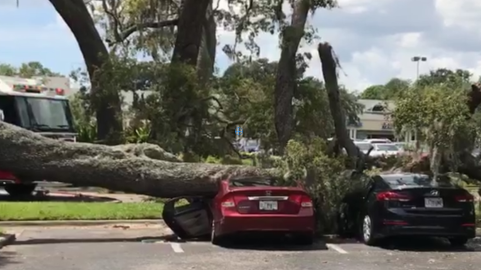 WATCH: Massive tree crushes cars, child injured in Apopka