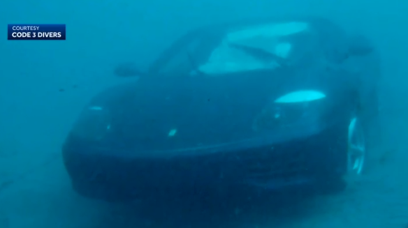 Florida man drives Ferrari off dock, into water on purpose
