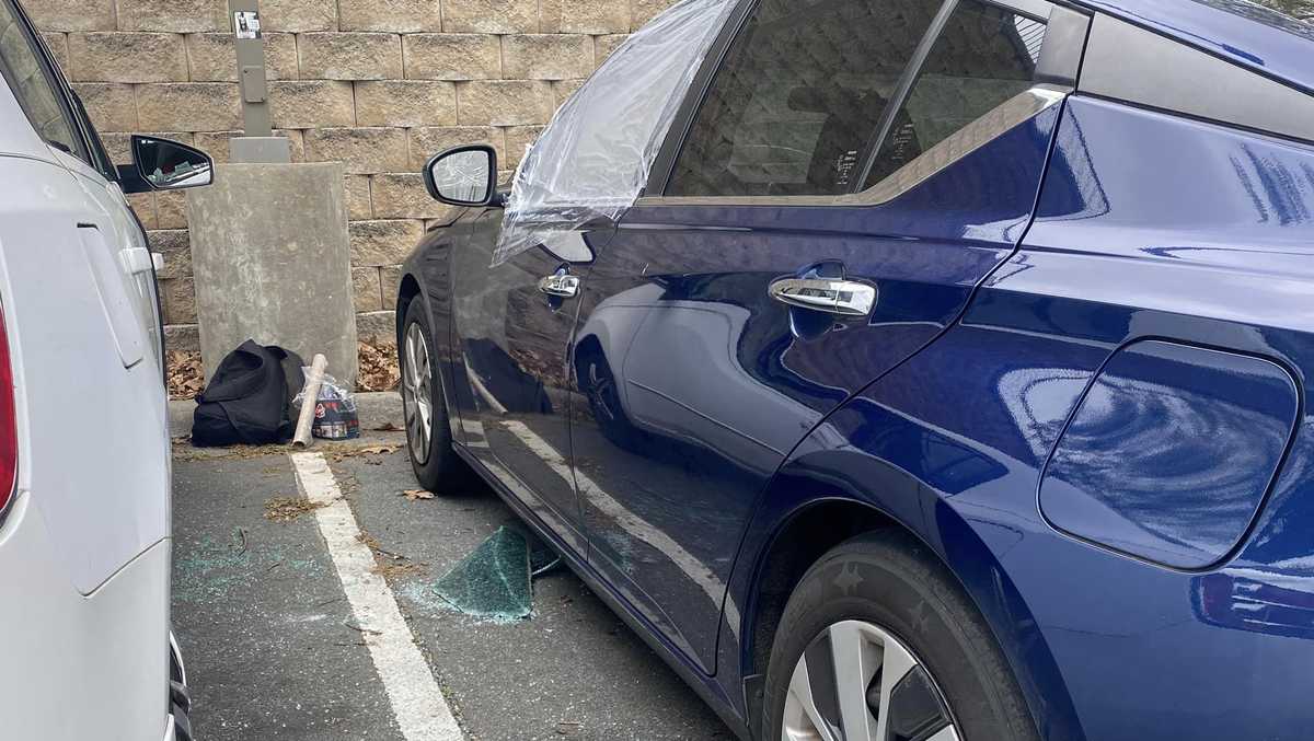 Maria Debone - Journalist Profile - Intelligent Relations