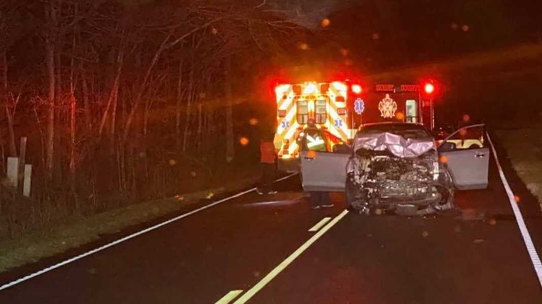 Cow dies after colliding with car in South Carolina