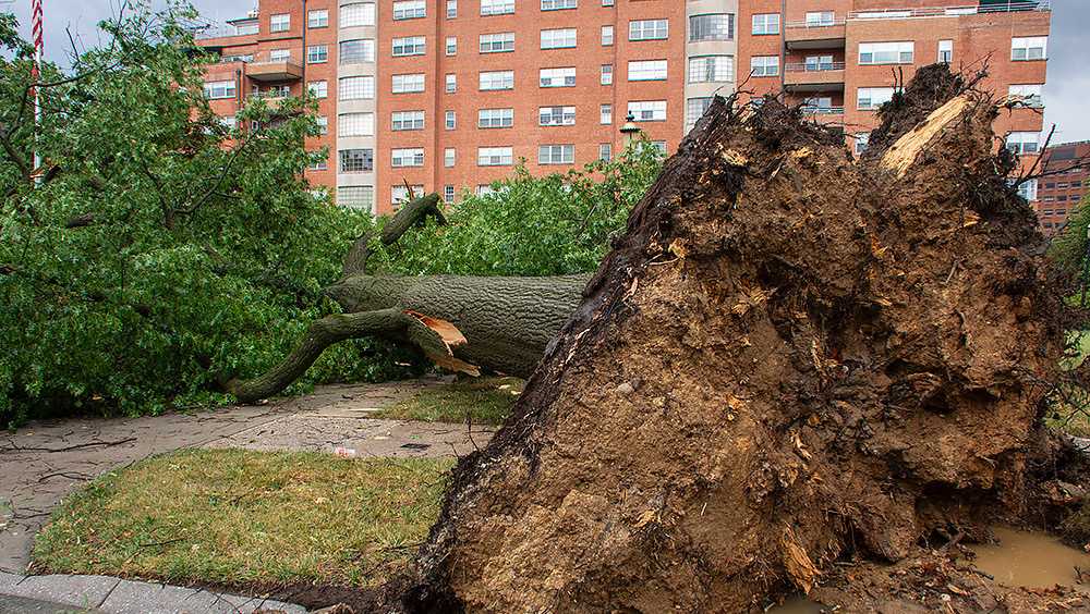 Thousands still without power 24 hours after Saturday's storm