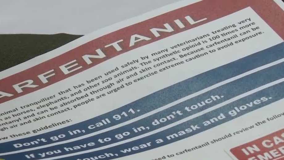State issues new guidelines on dealing with carfentanil