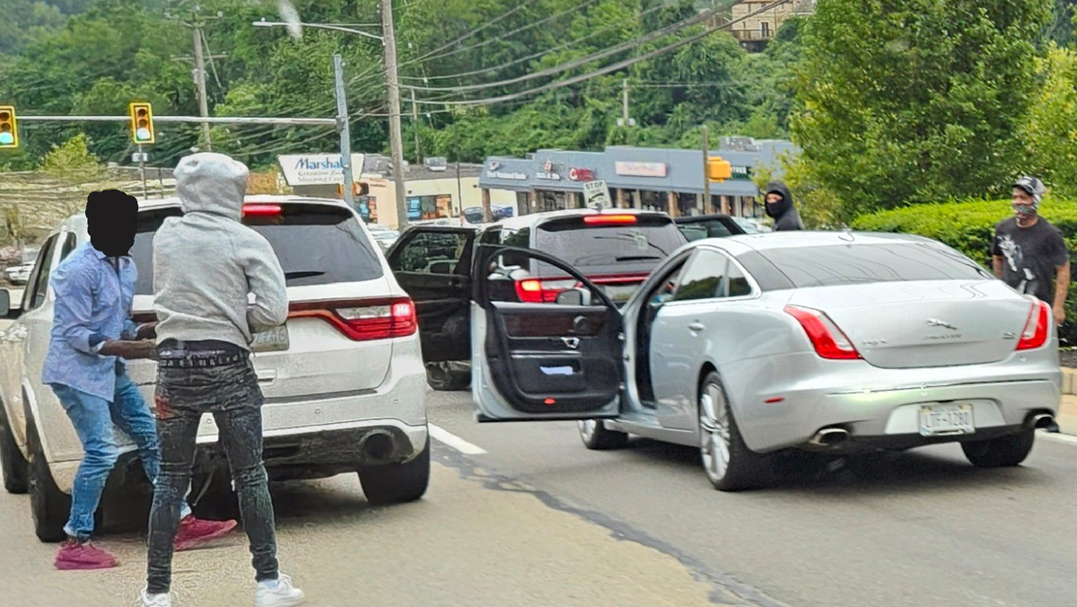 Search for Suspects: Carjacking on Greentree Road in Scott Township