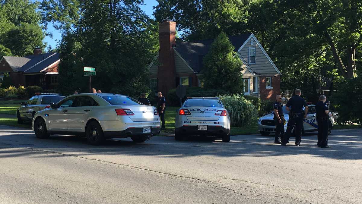 Police use Taser on carjacking suspect after foot chase Police use Taser on carjacking suspect after foot chase