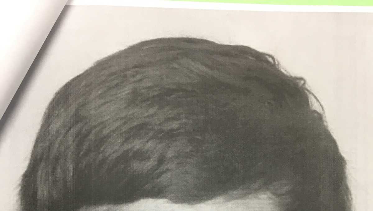 Bulloch deputies seek man who got away after fleeing attempted traffic stop