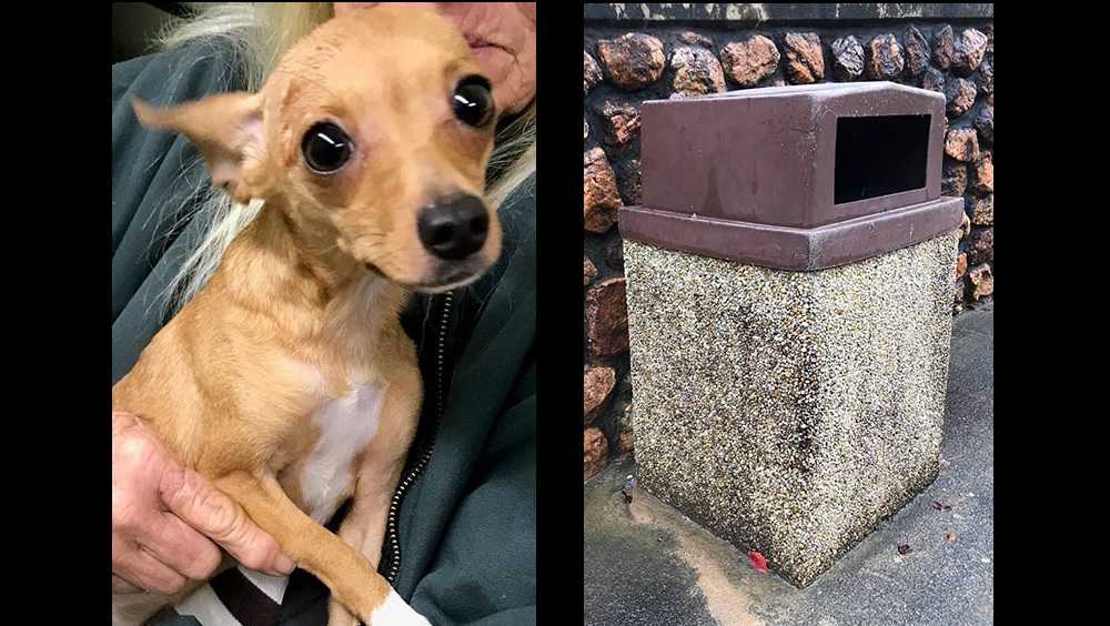 Small dog found tossed in trash can at I-85 welcome center