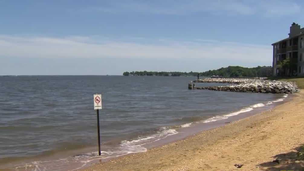 Carr's Beach Reunion pays tribute to music, community