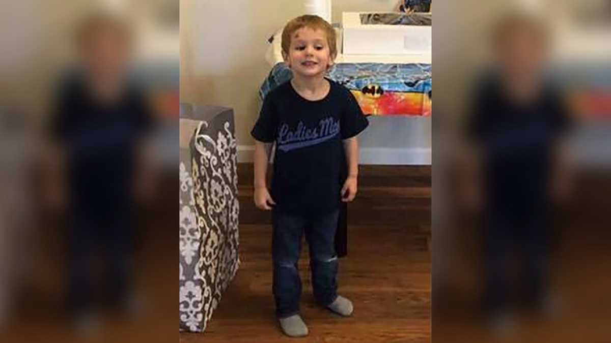 Rescuers were combing woods when they heard missing 3-year-old boy call ...