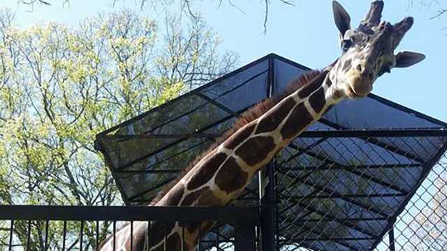 Jackson Zoo mourns passing of 2 animals in one month