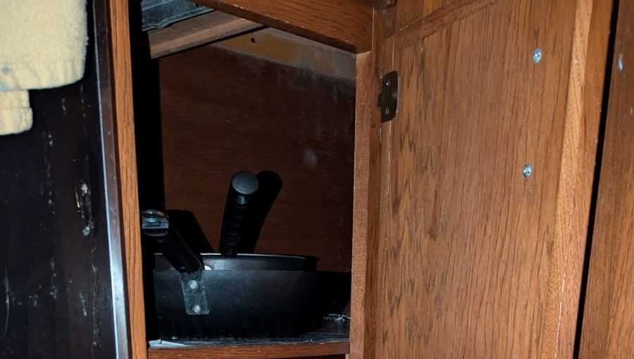 Woman finds missing cat hiding in apartment 17 days after it caught fire