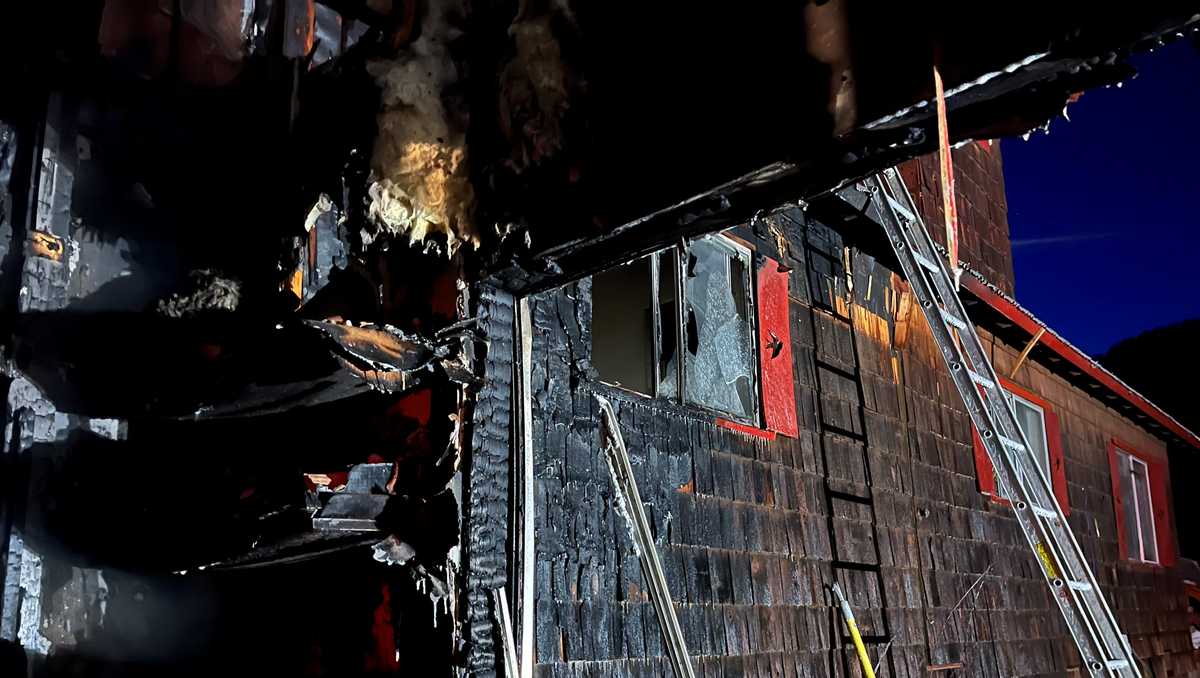 Cat alerts its family of home fire in Durango