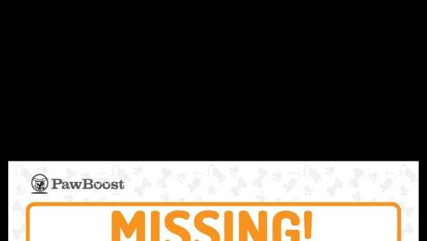 Lost and Found Pets in the WXII 12 Community