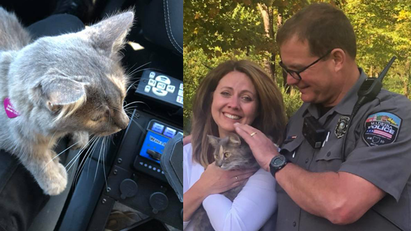 Cat missing for 18 days reunites with owner with help from Madeira police