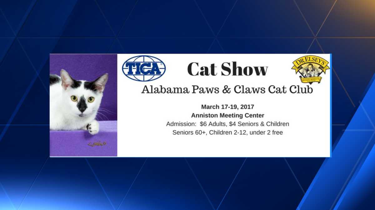 All Breed Championship and Household Pet Cat Show to be held Saturday ...