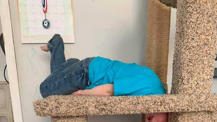 Photos: Boy gets head caught in cat scratching post