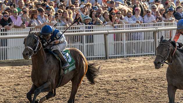 "Catching Freedom" Louisiana Derby