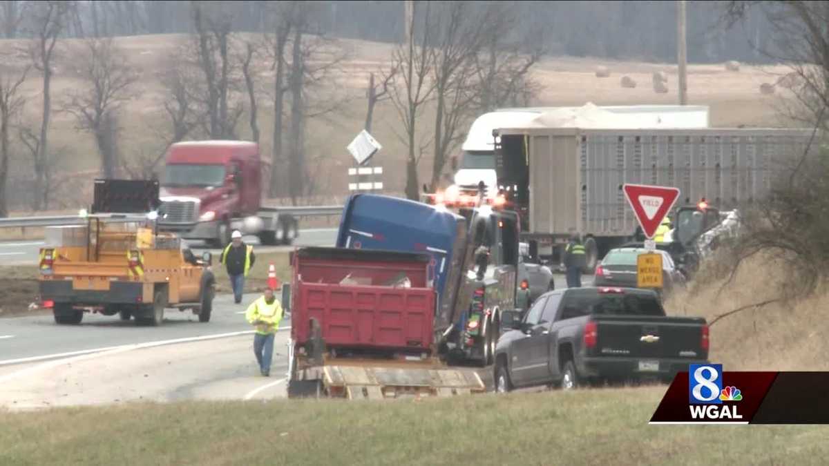 Crash, loose cows shut down I-81in Pennsylvania