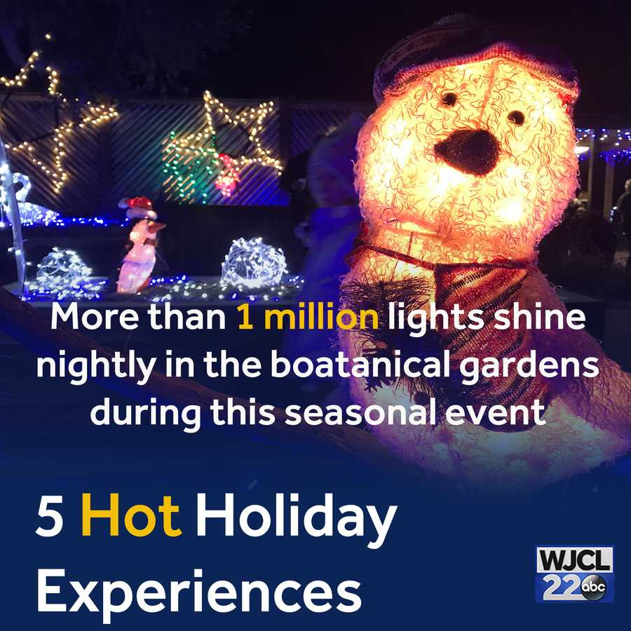 5 Hottest holiday experiences