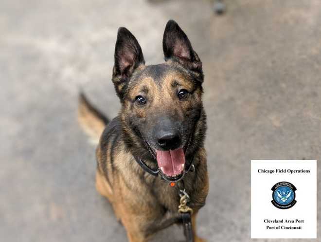 Cincinnati customs agents intercept shipments containing deadly drugs