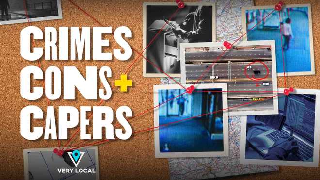 True crime stories and unbelievable cons you'll have to see to believe