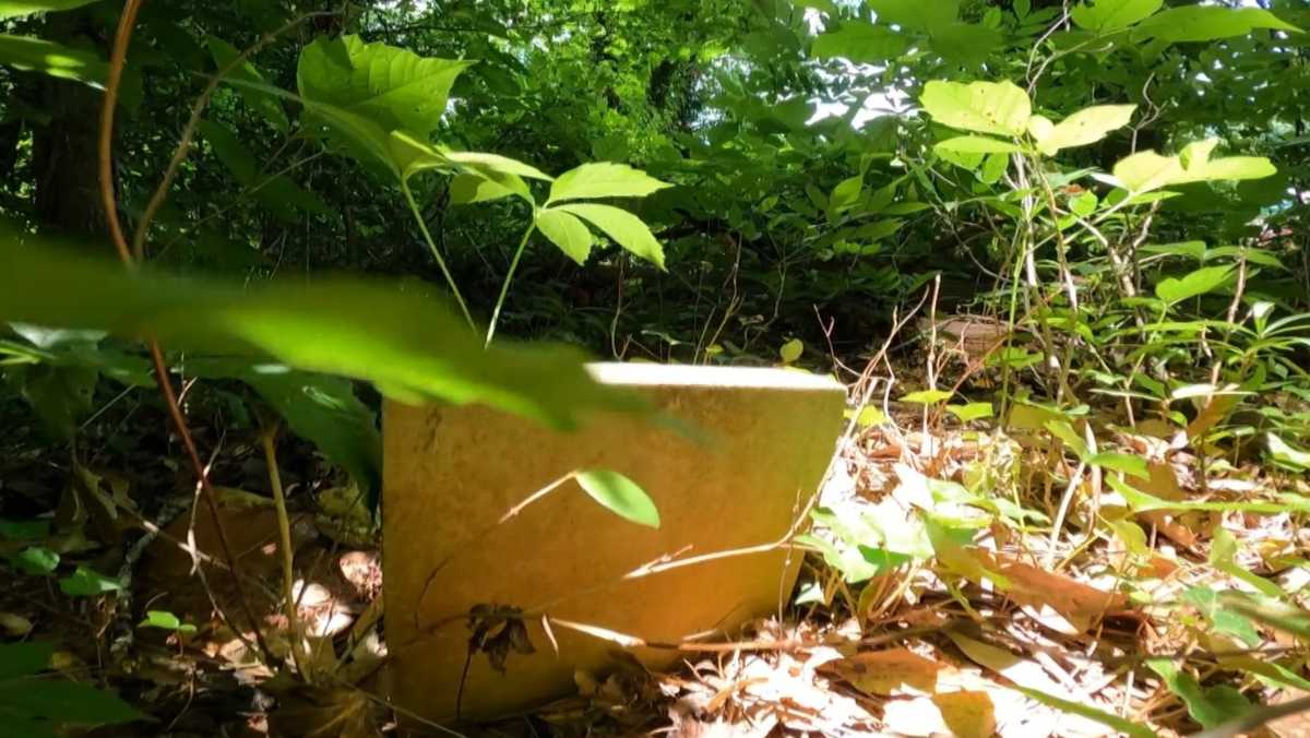 South Carolina: Historic, neglected slave cemetery gets attention